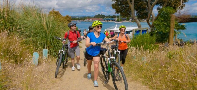 Nelson to Mapua: Full-Day Cycling Self-Guided Adventure - Authentic Experiences and Real Traveler Feedback