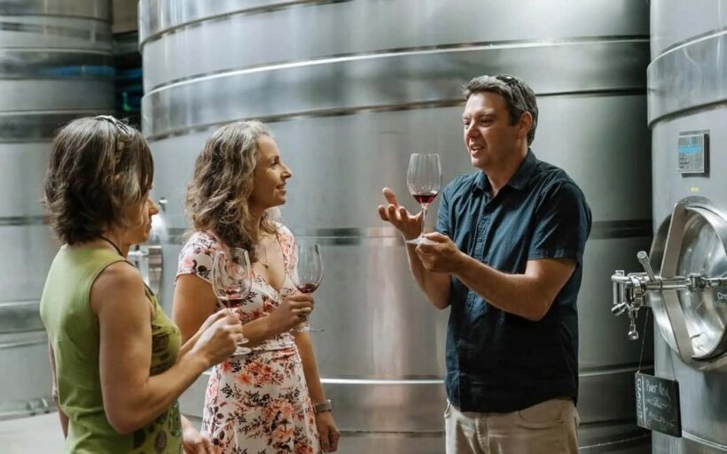 Nelson: Wine Tour with Tastings and Lunch - Key Points