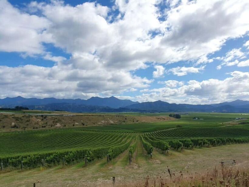 Nelson: Wine Tour with Tastings and Lunch - Frequently Asked Questions