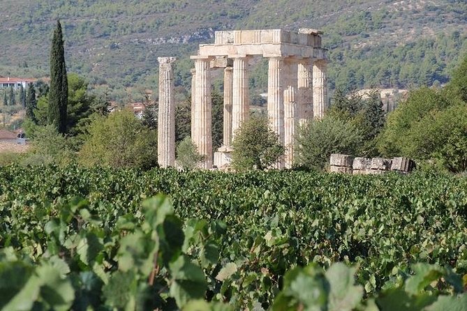Nemea wine roads, The most famous wine tour in Greece - Key Points