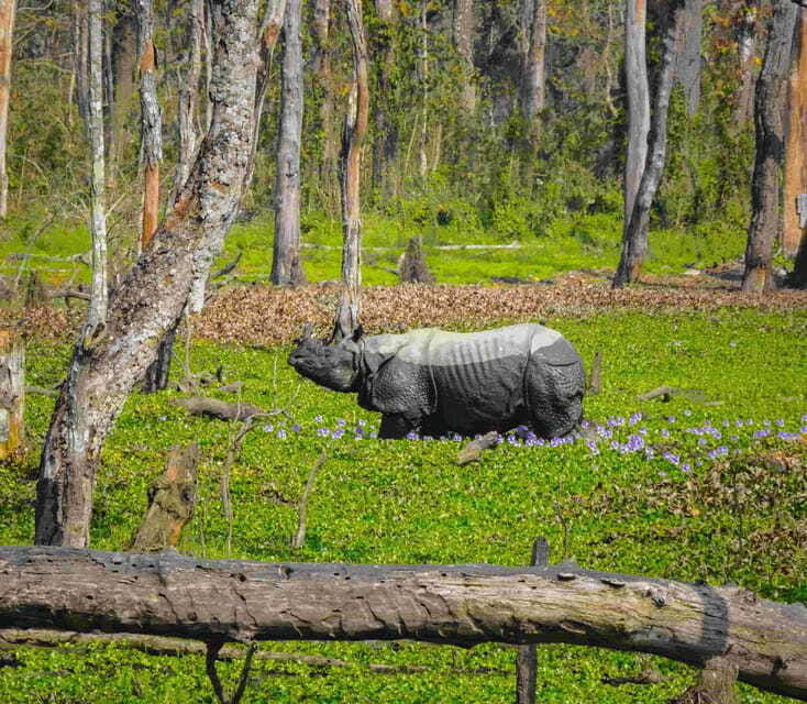 Nepal: 10-Day Yoga and Meditation Retreat Tour - Final Thoughts