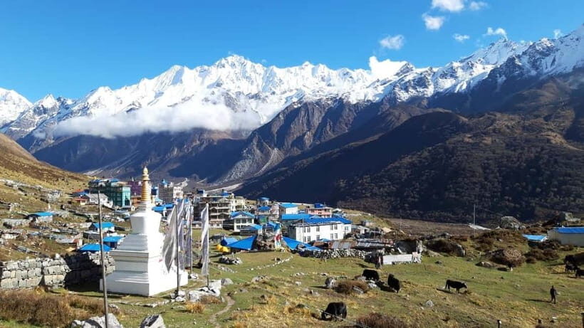 Nepal: 14-Day Langtang Valley Trek with Yala Peak Climb - The Experience Provider: Wilder Way Trekking & Expedition Pvt Ltd