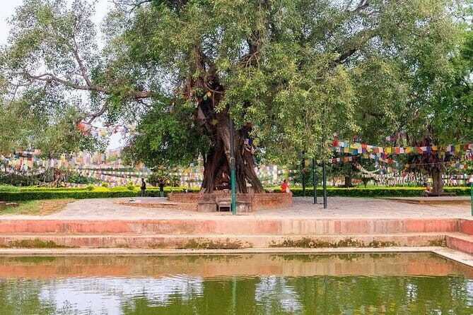 Nepal: 4 Days Kathmandu and Lumbini Tour - Practical Tips for Travelers