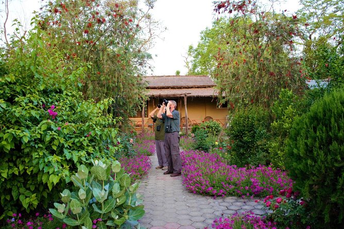 Nepal Birding - The Experience of a Typical Day