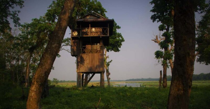 Nepal: Chitwan National Park 3-Day Jungle Tower Stay - The Accommodations: Comfort Meets Authenticity