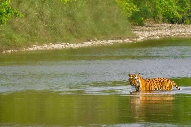 Nepal Classic Tour -12 Days - Who Will Love This Tour?