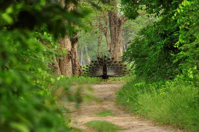 Nepal Classic Tour -12 Days - Frequently Asked Questions