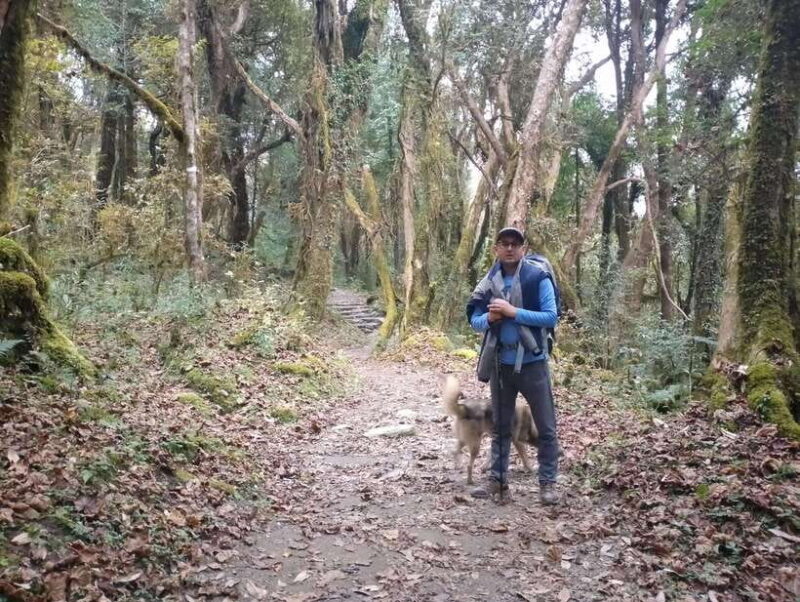 Nepal: Everest Base Camp with Kalapathar Trek - FAQ