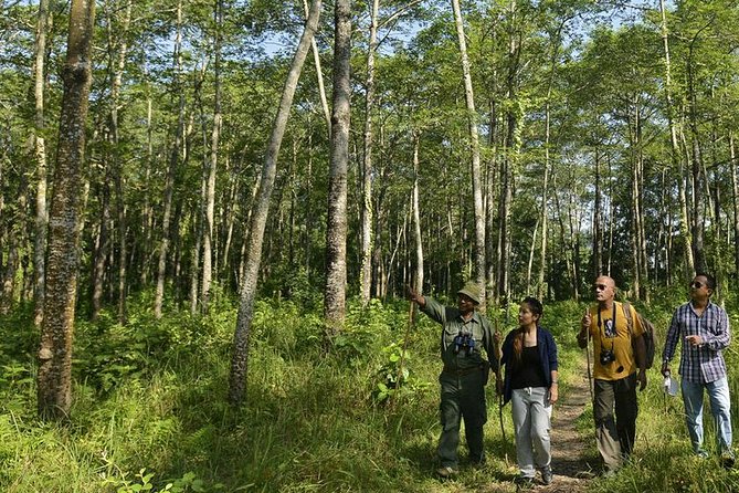 Nepal in Luxury: Kathmandu, Chitwan & Pokhara Escape  8 Days - Who Will Love This Tour?