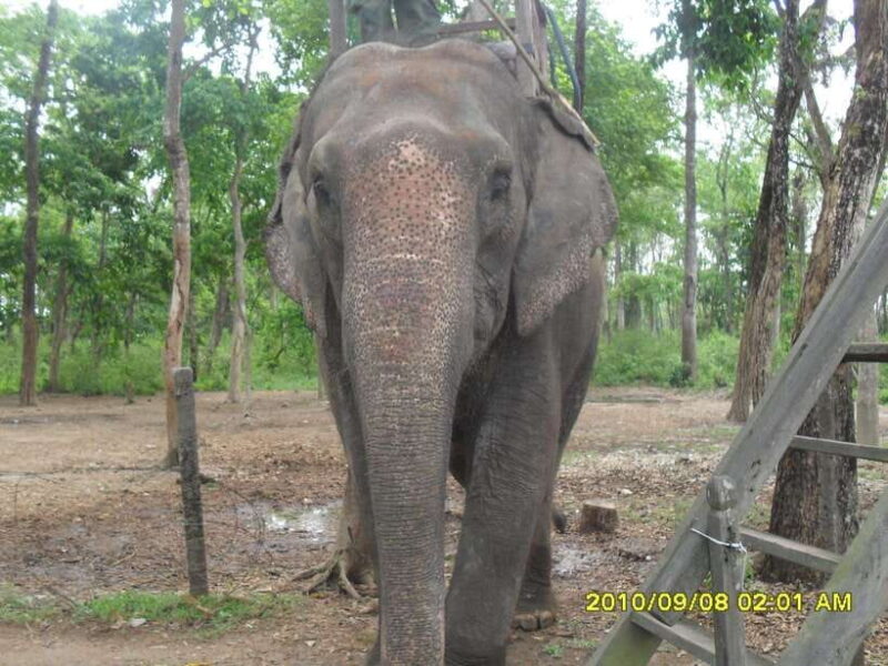 Nepal: Kathmandu and Chitwan National Park Tour - From Kathmandu to Chitwan: The Scenic Drive