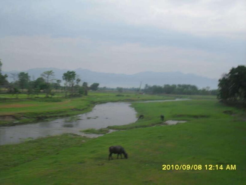 Nepal: Kathmandu and Chitwan National Park Tour - Wildlife and Wilderness in Chitwan