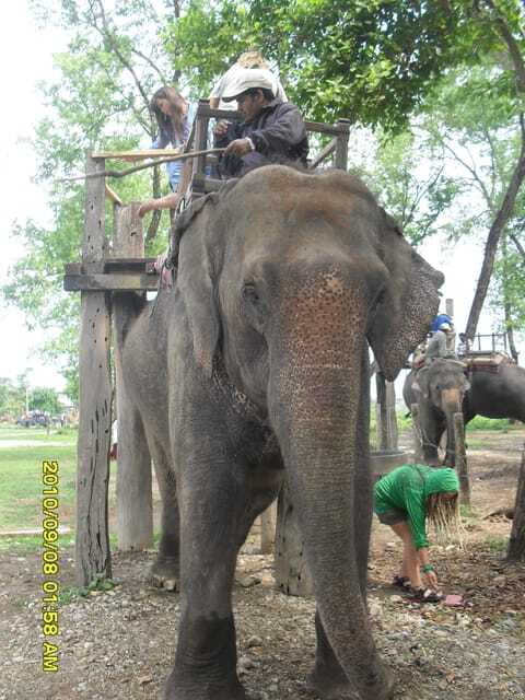 Nepal: Kathmandu and Chitwan National Park Tour - FAQs