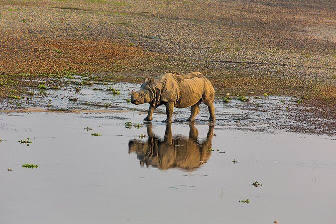 Nepal Multisport Adventure Tour - Traveler Insights