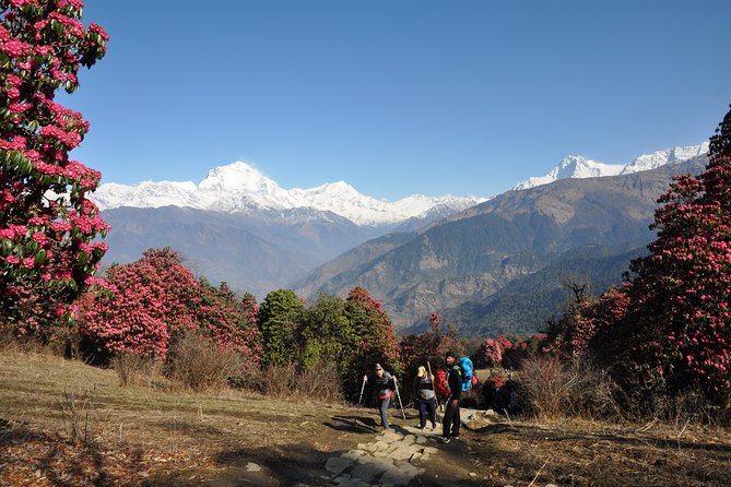 Nepal Round Tour with Annapurna Trek 14 Days - What Sets This Tour Apart?