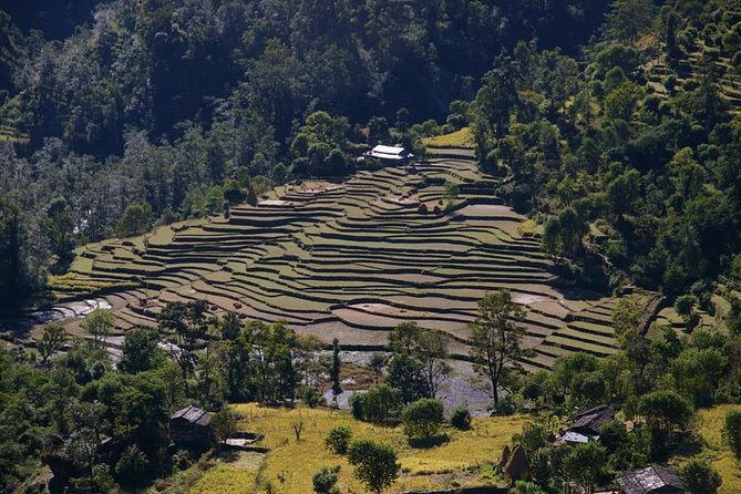 Nepal Round Tour with Annapurna Trek 14 Days - Analyzing the Value: Is It Worth It?