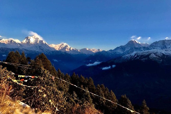 Nepal Round Tour with Annapurna Trek 14 Days - Who Is This Tour Best For?