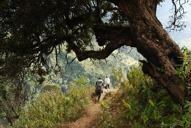 Nepal Round Tour with Annapurna Trek 14 Days - The Sum Up: Making the Most of Your Nepal Adventure