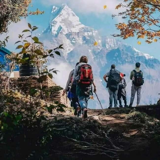 Nepal: Small Group 4-day Mardi Himal Trekking - An Authentic Himalayan Escape in Just Four Days
