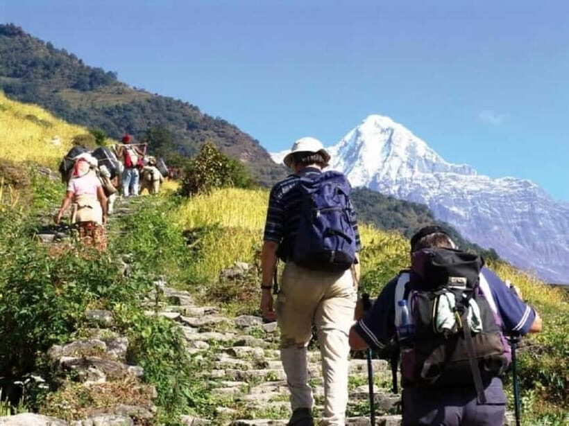 Nepal: Small Group 4-day Mardi Himal Trekking - The Experience and What It Means for You