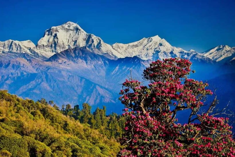 Nepal: Time For Trekking To Mohare Hill & Poon Hill - Frequently Asked Questions (FAQs)