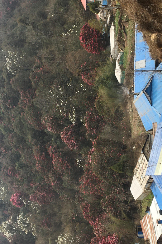 Nepal: trekking guide with 20+ years of experience - Practical Details and Final Thoughts