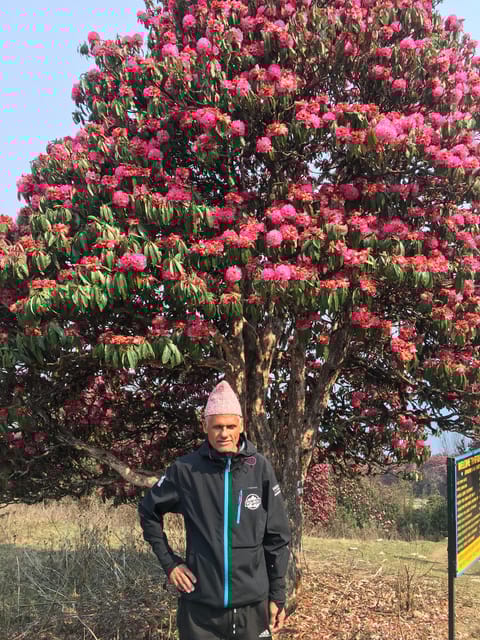 Nepal: trekking guide with 20+ years of experience - Final Words