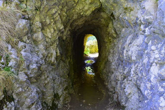 Nera Gorge National Park - Private Day Tour from Timisoara - Authentic Experiences and Real Traveler Feedback