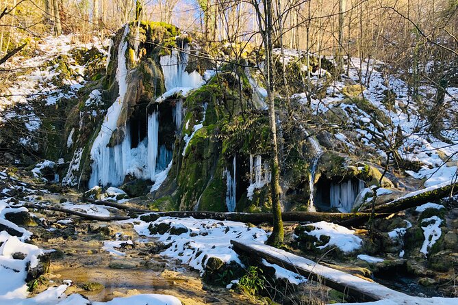 Nera Gorge National Park - Private Day Tour from Timisoara - Who Should Consider This Tour?