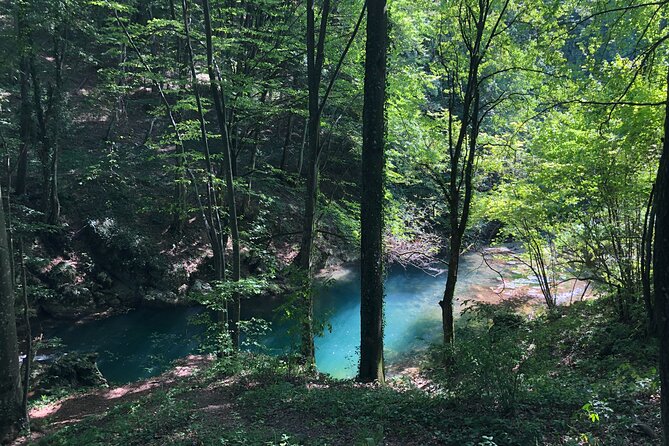 Nera Gorge National Park - Private Day Tour from Timisoara - Final Thoughts: Is It Worth It?