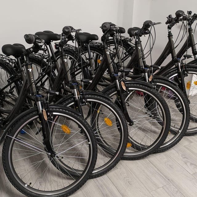 NERJA: Ebike Rental - Who Will Love This Experience?