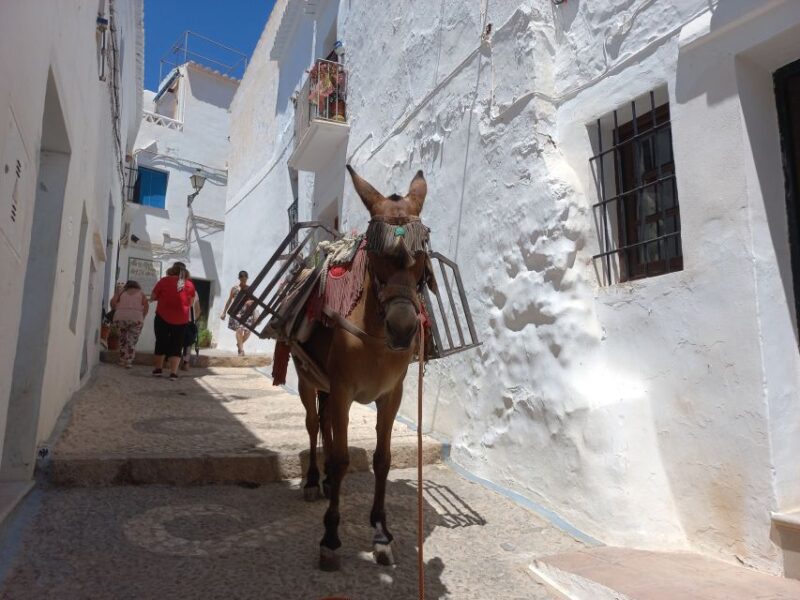 Nerja, Frigiliana & El Acebuchal: Full-Day Semi-Private Tour - Breakdown of the Itinerary