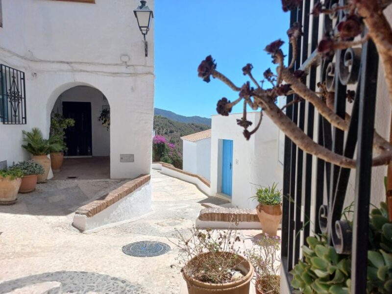 Nerja, Frigiliana & El Acebuchal: Full-Day Semi-Private Tour - Authentic Experiences and Practical Tips
