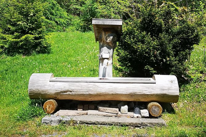 Neuschwanstein Castle by Bus Incl. Bike Ride or Hohenschwangau - Final Thoughts