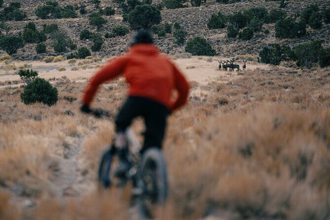 Nevada Trails to Rails Beginner & Intermediate Bike and Hike Tour - The Sum Up
