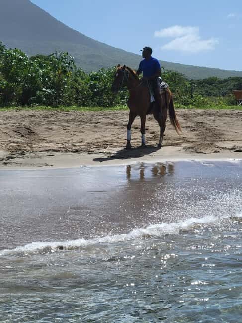 Nevis: Private Horseback Ride and Swim in the Caribbean Sea - An In-Depth Look at the Tour