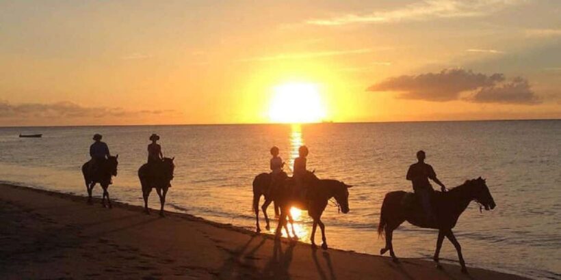 Nevis: Private Horseback Ride and Swim in the Caribbean Sea - FAQs