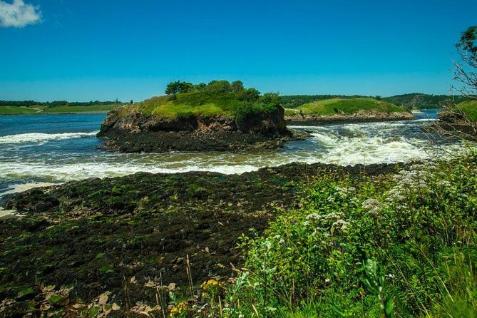New Brunswick Shore Excursion: Bay of Fundy and More Highlights Tour - The Sum Up