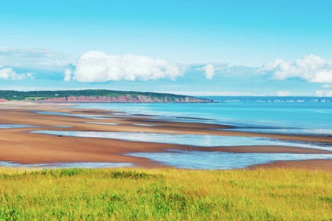 New Brunswick Shore Excursion: Bay of Fundy and More Highlights Tour - FAQ