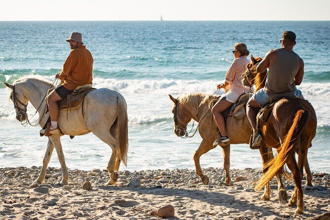 NEW!! Combo ATV & Horseback Ride. Beach & Desert. Tequila Tasting - The Sum Up