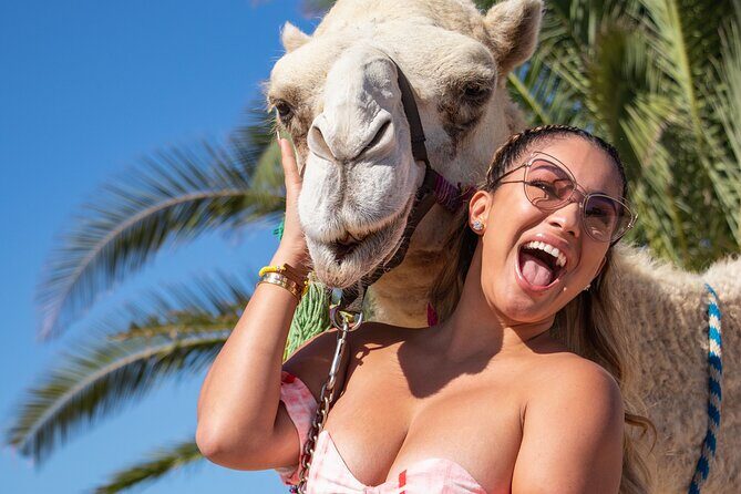 NEW! Combo Camel Beach Ride and UTV 4X4 Cabo Adventure, Tequila & - The Itinerary in Detail: What to Expect