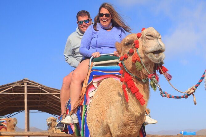 NEW! Combo Camel Beach Ride and UTV 4X4 Cabo Adventure, Tequila & - FAQ: Your Practical Questions Answered