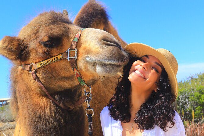 NEW! Combo Camel Beach Ride and UTV 4X4 Cabo Adventure, Tequila & - Final Words