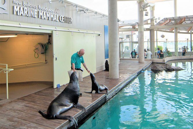 New England Aquarium Admission Ticket in Boston - A Closer Look at the Experience