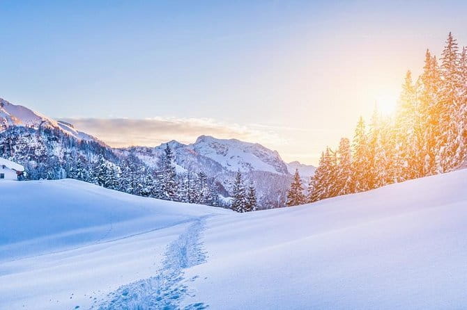 New Fiat 500X (SUV) Rental (all day) - A Deep Dive into the Experience