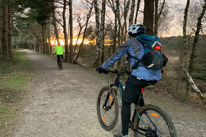 New Forest Sunset Bike Rides - Booking Details