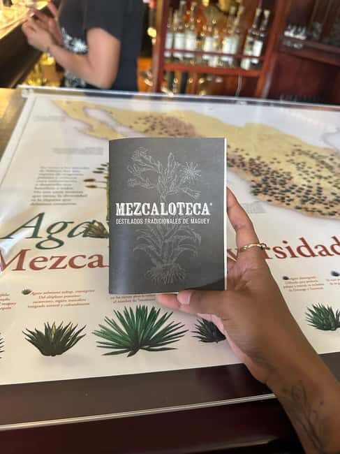 New Friends and Mezcal Tasting Deluxe in Oaxaca city! - What’s Included and What’s Not