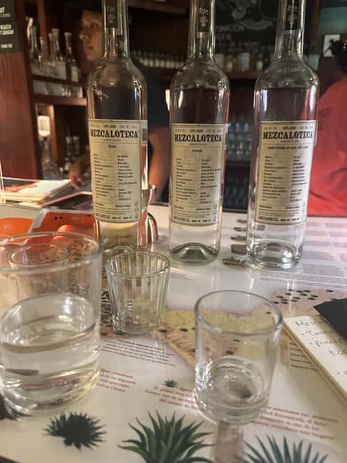 New Friends and Mezcal Tasting Deluxe in Oaxaca city! - Practical Details