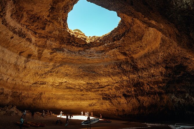 NEW Lagos-Watching Dolphins and Benagil Cave With Biologists - Accessibility and Amenities