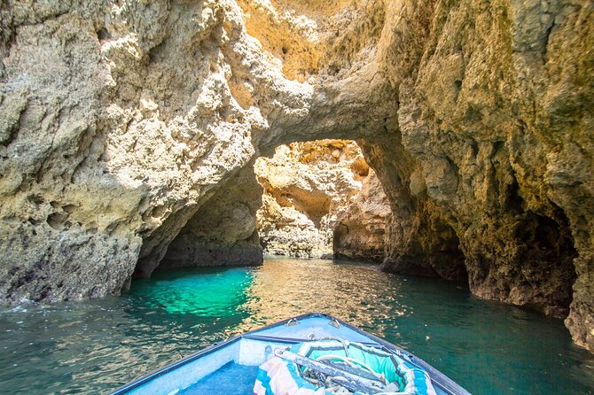 NEW Lagos-Watching Dolphins and Benagil Cave With Biologists - Guest Feedback and Ratings