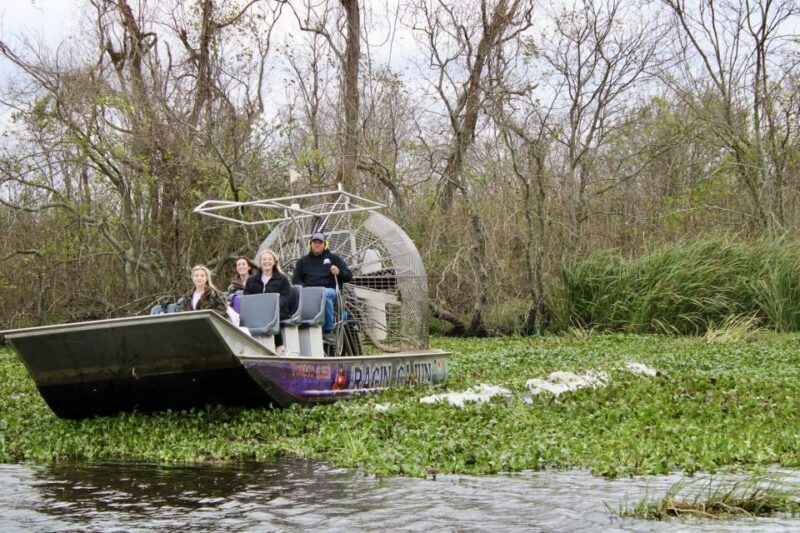 New Orleans: 10 Passenger Airboat Swamp Tour - Who Will Appreciate This Tour?